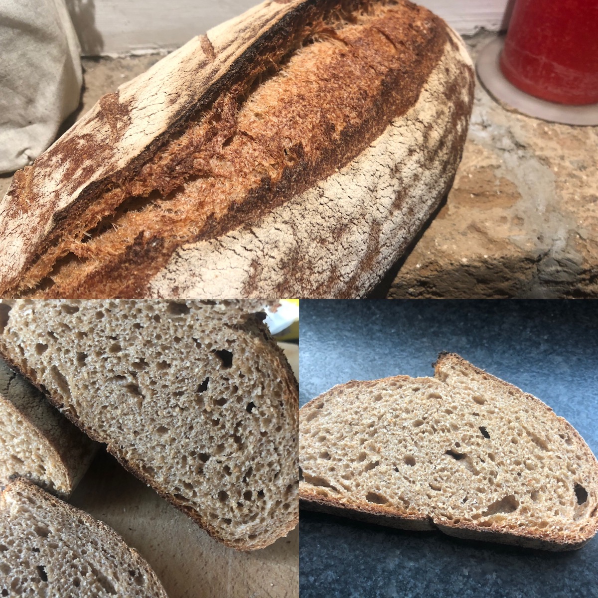 Weizen Vollkorn Brtchen